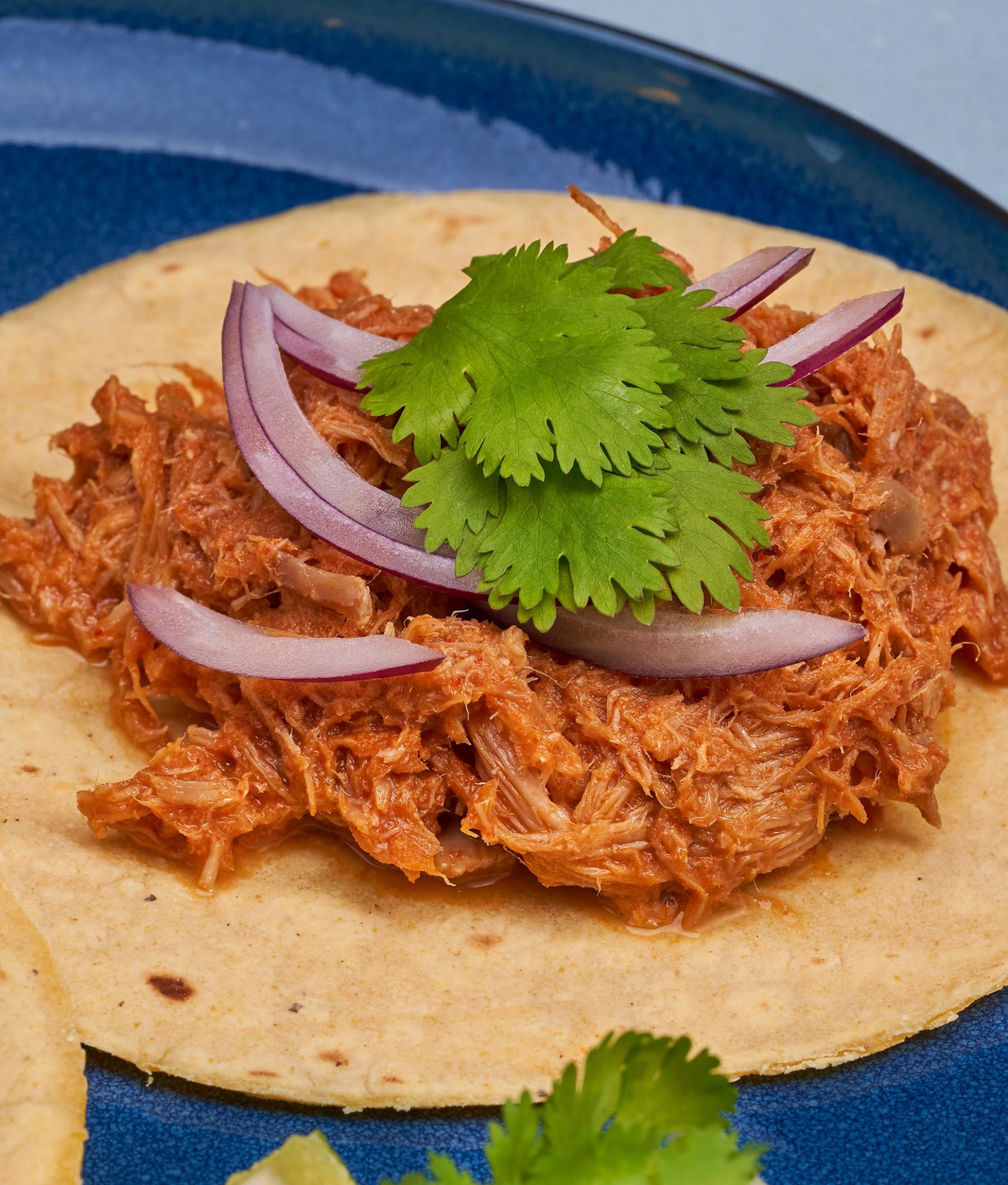 COCHINITA PIBIL | Create Recipes | Recipes to make with your Chefbot